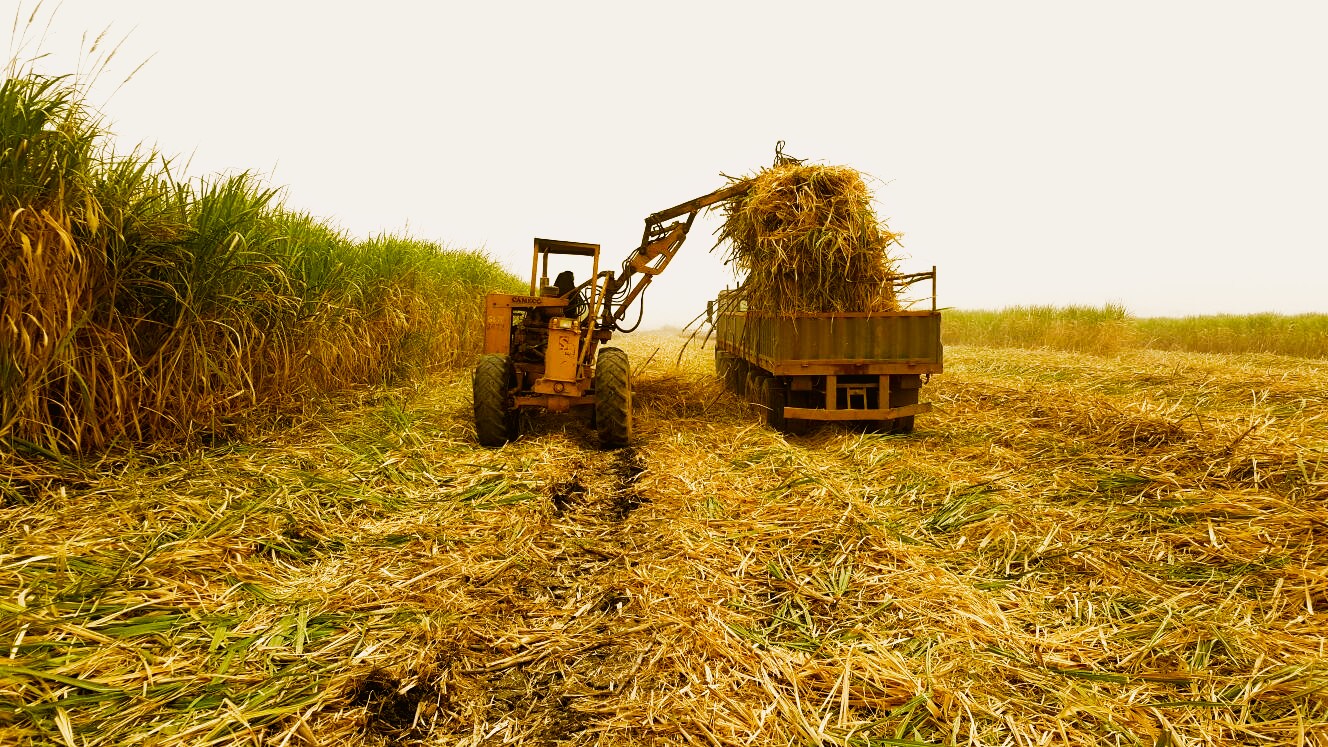 News & Events - Welcome to Dangote Sugar Refinery Plc